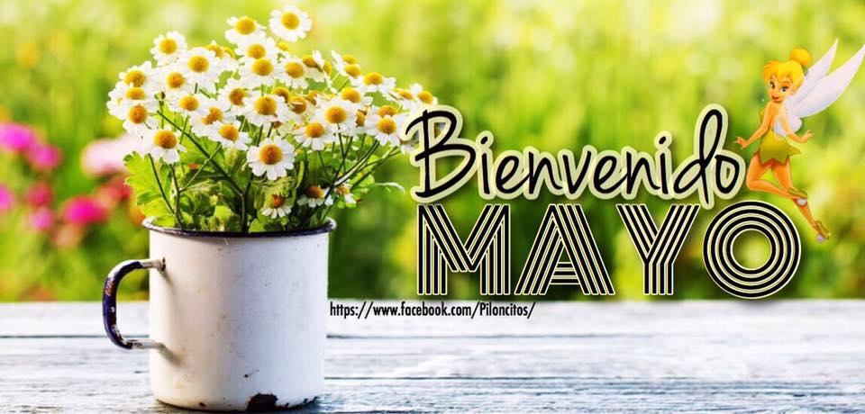 40 Mayo Imágenes, Fotos y Gifs para Compartir - Imágenes Cool